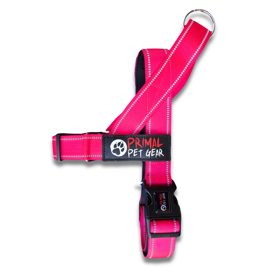 Primal Pet Gear Quick Fit Personalised Dog Harness